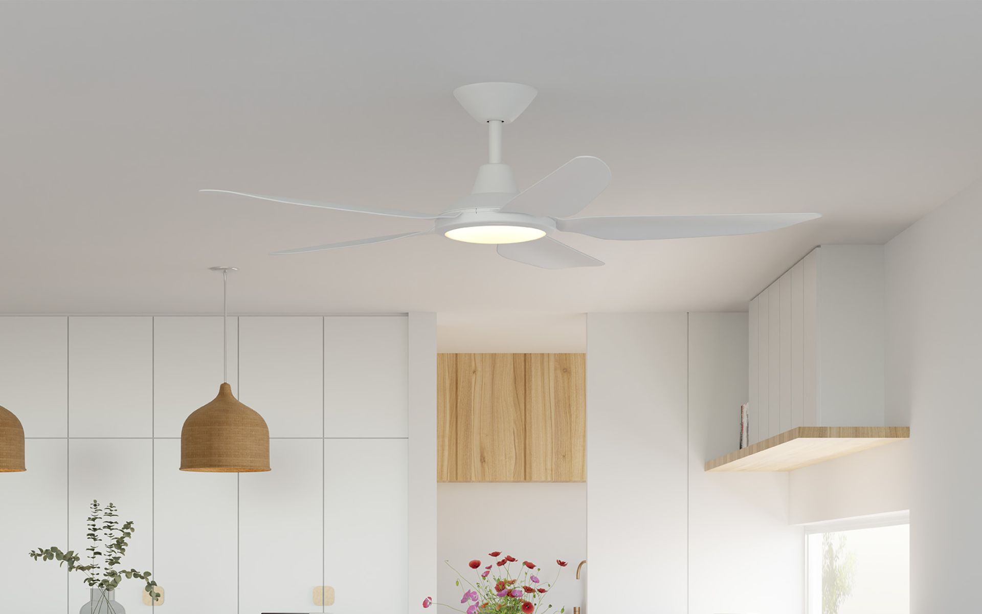 Shop Australia's Best Ceiling Fans Online | Ceiling Fans Direct